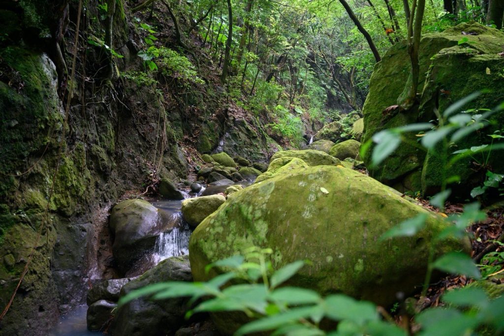 How the Remarkable Caribbean Island of Montserrat Thrived After A ...