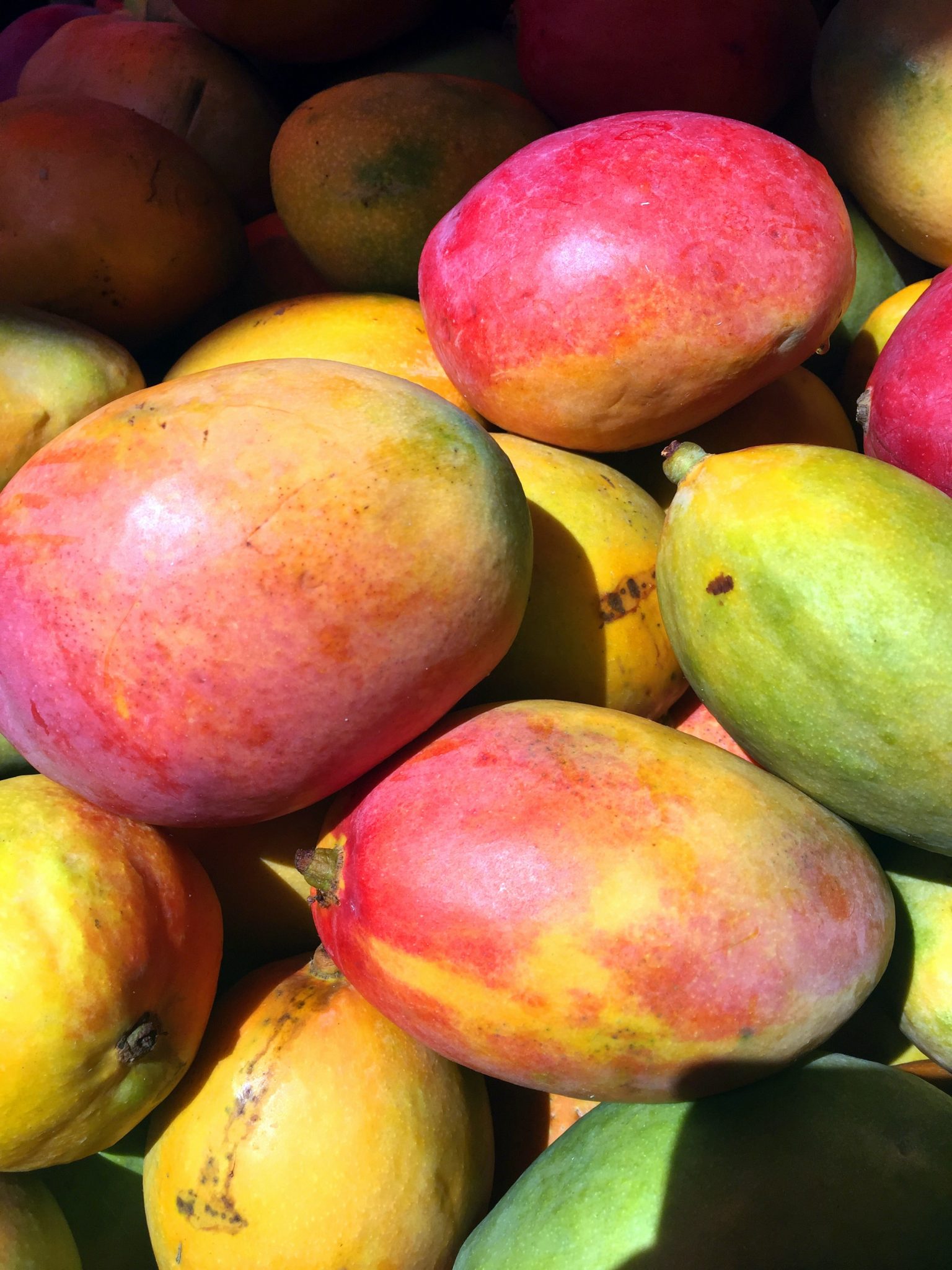 Mango – A Caribbean Fruit Waiting to be ‘Discovered’ | Exceptional ...