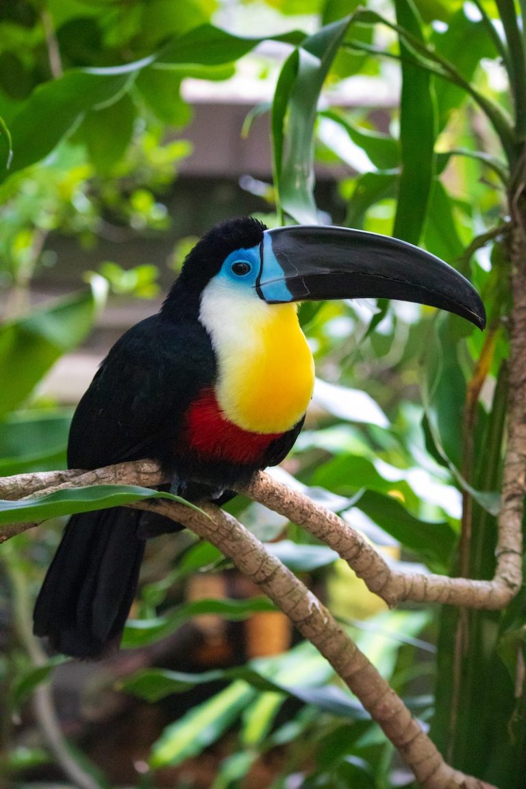 Go Wild in the Dominican Republic’s Exceptional Nature | Exceptional ...