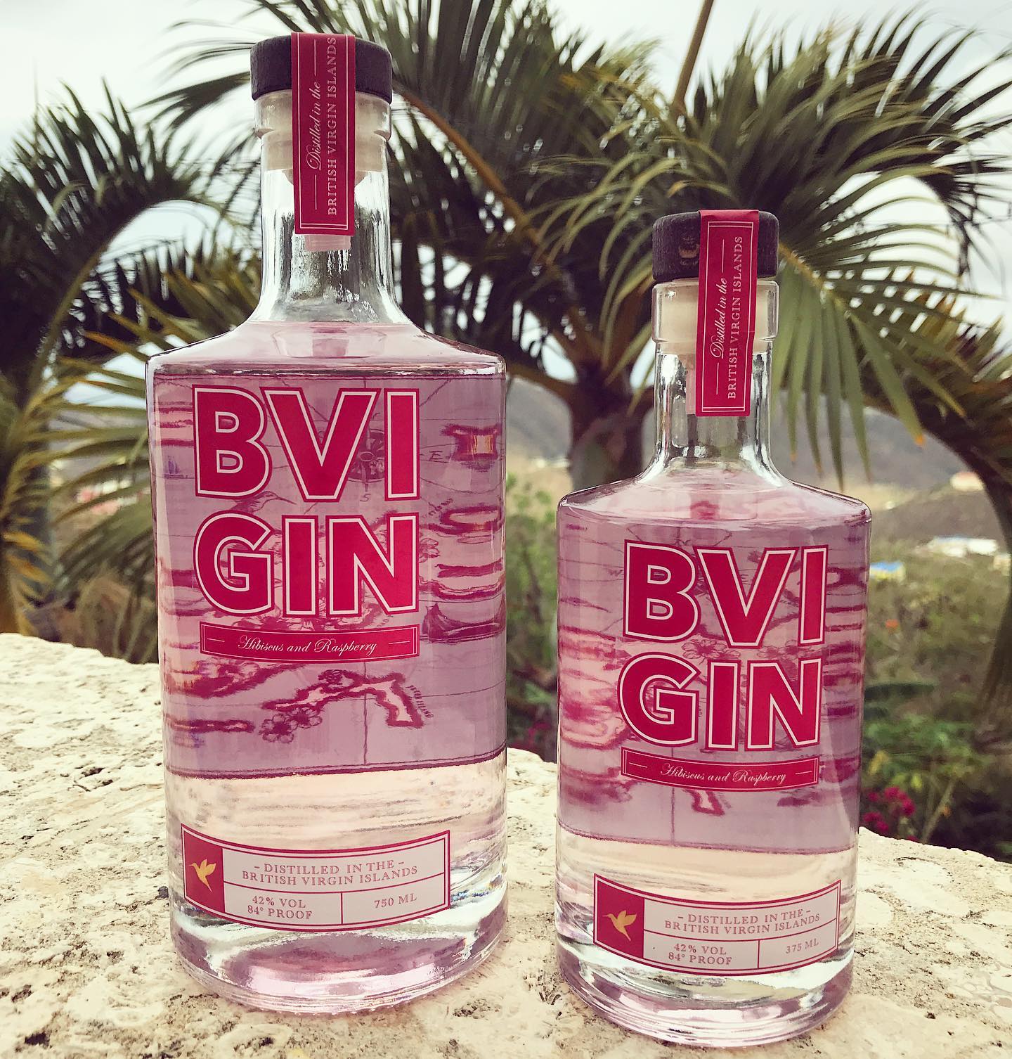 BVI GIN | Exceptional Caribbean